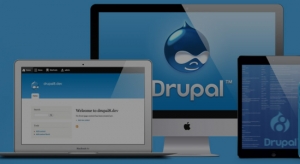 Drupal Development Company – Hire Expert Drupal Web Developer