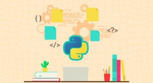 Hire Python Developers - Cheap Python Programming Services